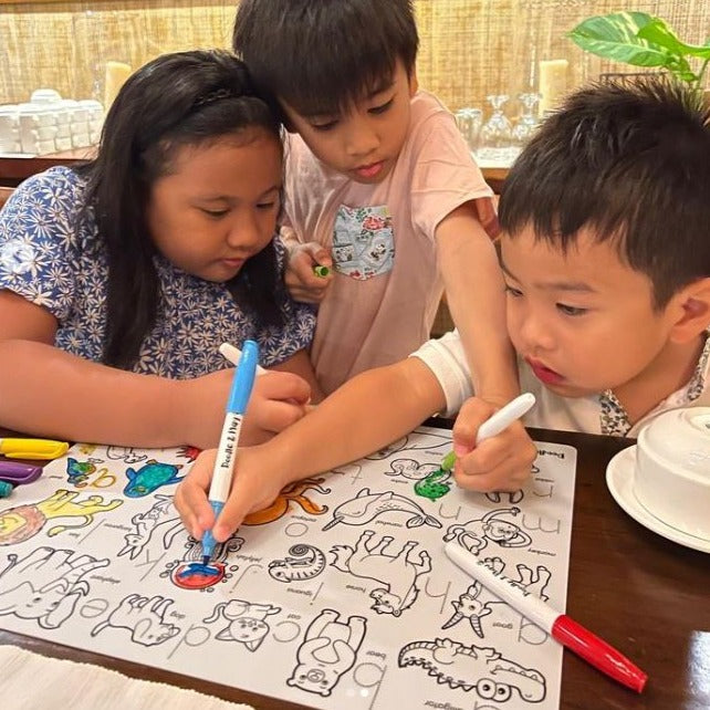 Doodle & Play Reusable Coloring Mats and Pens – The Good Store PH